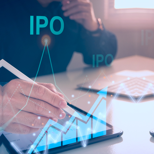 Main types of IPO investors: characteristics and impact on the market
